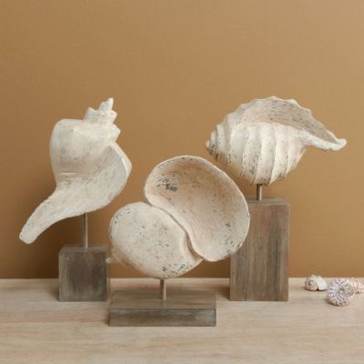 Set of Three Sava Shells | Frontgate