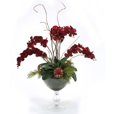 Orchids in Glass Compote | Frontgate
