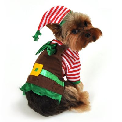 Workshop Elf Dog Costume | Frontgate