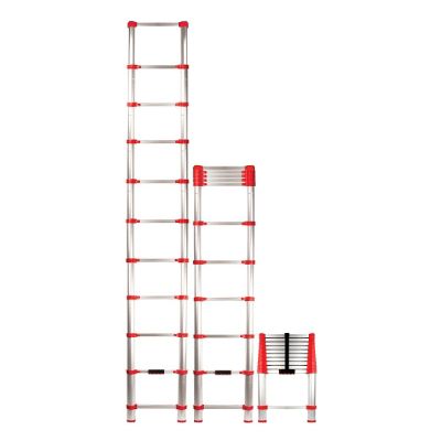 Xtend & Climb Ladders | Frontgate