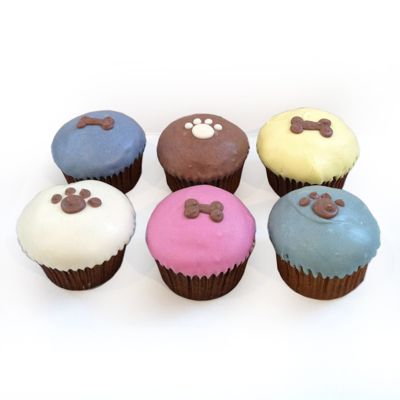 Pupcakes 6-Pack | Frontgate