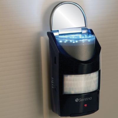 Motion Activated Max Light | Frontgate