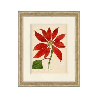 Radiant Floral I Wall Art | Frontgate