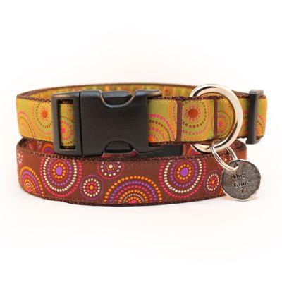 Puddle Dog Collar | Frontgate