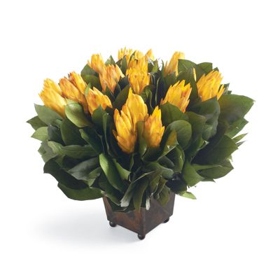 Hopscotch Floral Arrangement | Frontgate