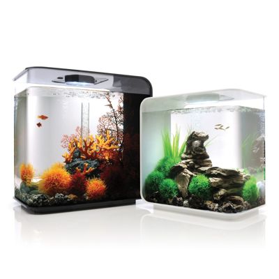 Biorb Flow Aquarium | Frontgate