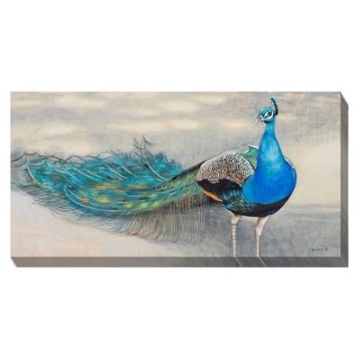Peacock Canvas Art Frontgate