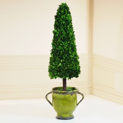 Boxwood Cone Topiary in Green Urn | Frontgate