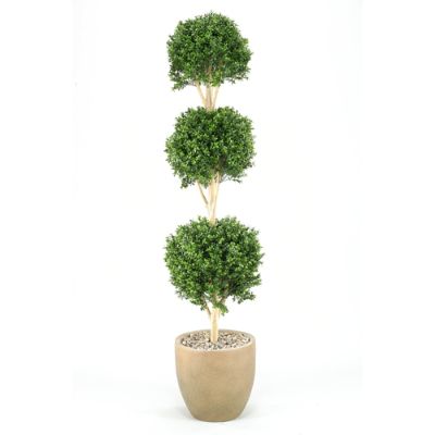Boxwood Triple Ball Topiary | Frontgate