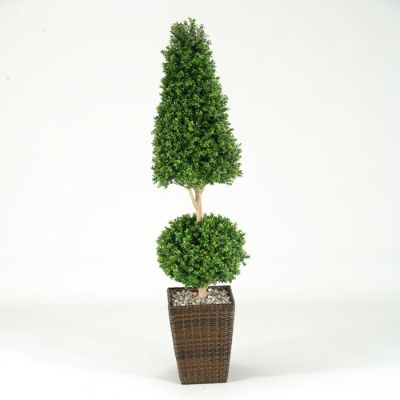 Ball and Cone Boxwood Topiary | Frontgate