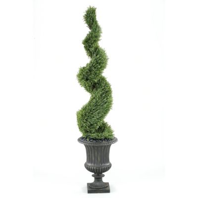 Spiral Rosemary Topiary in Urn | Frontgate