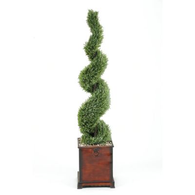 Rosemary Spiral Topiary in Square Metal Planter | Frontgate