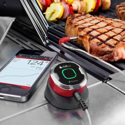 iGrill Mini | Frontgate