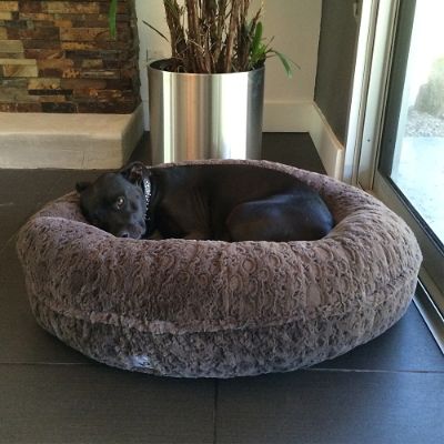 L.A. Dog Company® Chenille Cream Puff Pet Bed | Frontgate