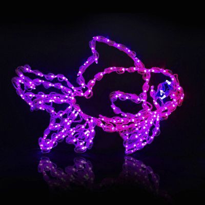 Lighted LED Fish | Frontgate