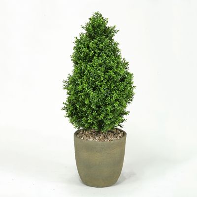 Pear Shaped Outdoor Topiary | Frontgate