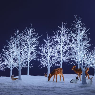 Twinkle Winter Bark Tree | Frontgate