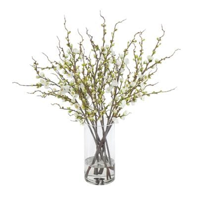 Peach Blossom in Glass Vase | Frontgate