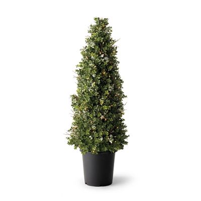 Snowy Boxwood Cone Topiary | Frontgate