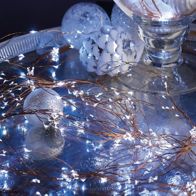 Battery-operated Micro LED Single Strand Lights | Frontgate