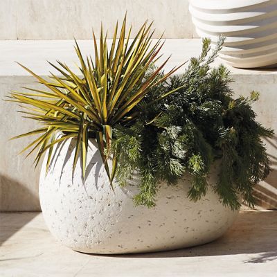 Rocco Planter | Frontgate