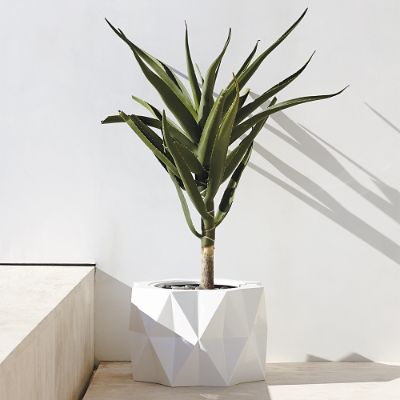Buntry Planter by Porta Forma | Frontgate