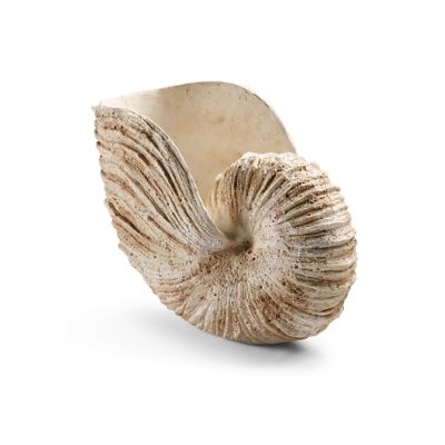 Nautilus Shell | Frontgate