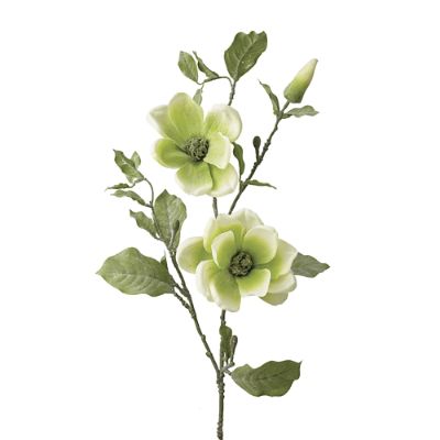 Sugar Ice Magnolia Picks, Set of Six | Frontgate