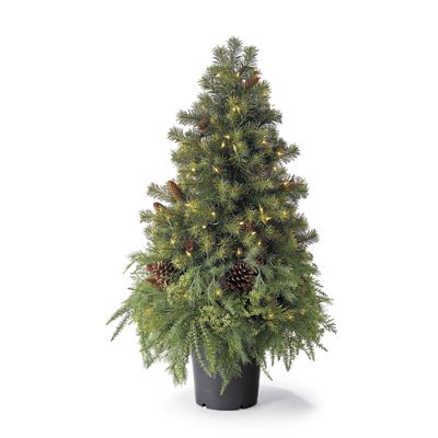 Asheville Estate 4ft. Topiary | Frontgate