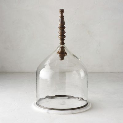 Reclaimed Cheese Dome Glass Cloche Frontgate
