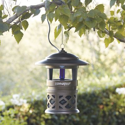 Dynatrap Decora 1100 Insect Eliminator | Frontgate
