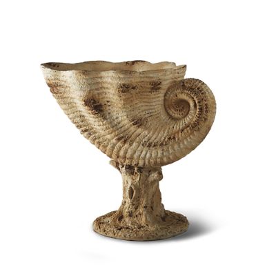Nautilus Shell Decor | Frontgate