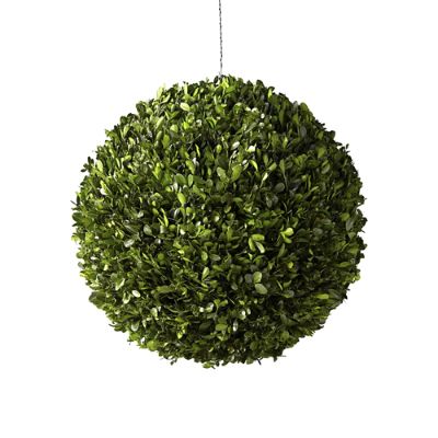 Boxwood Sphere | Frontgate