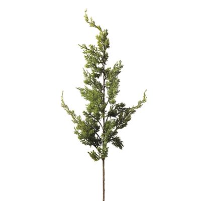 Cypress Sprays, Set of Twelve | Frontgate