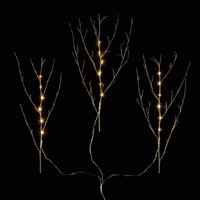 LED Lighted Branches, Set of Three | Frontgate
