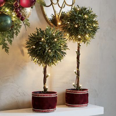 Rosemary Topiaries | Frontgate