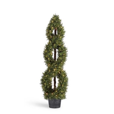 Double Spiral Rosemary Topiary | Frontgate