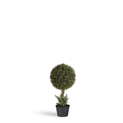 Rosemary Topiaries | Frontgate