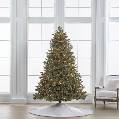 Noble Fir Full Profile Tree | Frontgate