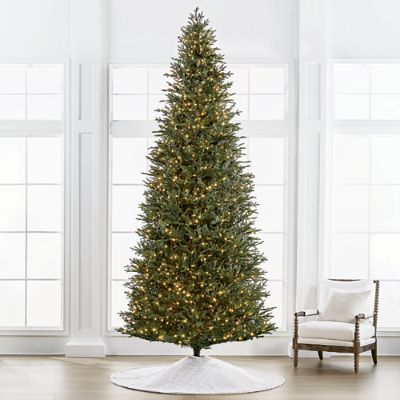 Fraser 12' Slim Profile Tree | Frontgate