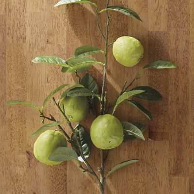 Faux Guava Stems, Set of Four | Frontgate