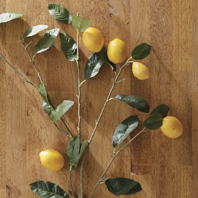 Lemon Branch Stem | Frontgate