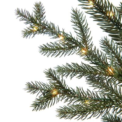 Starry Night Alpine Spruce Tree | Frontgate