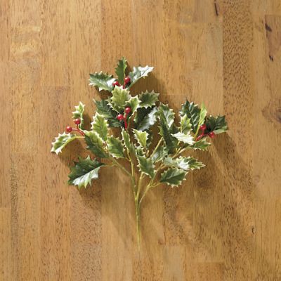 Holly 10" Picks, Set of 12 | Frontgate