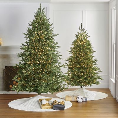 Color Changing Oregon Pine Full Profile Tree | Frontgate