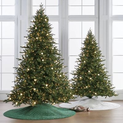 Telluride Fir Full Profile Tree | Frontgate