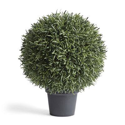 Single Ball Outdoor Boxwood Topiary | Frontgate