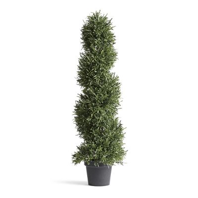 36" Outdoor Rosemary Spiral Topiary | Frontgate