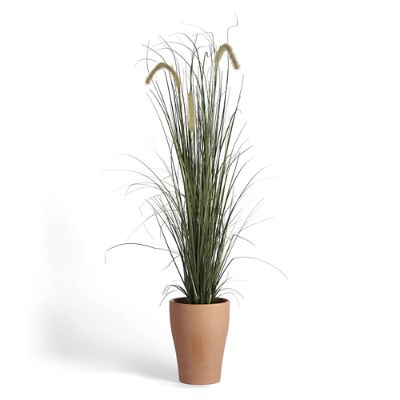 Outdoor Grass Potted Plant | Frontgate