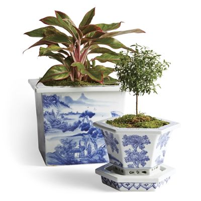 Blue Ming Handpainted Ceramic Cachepot | Frontgate